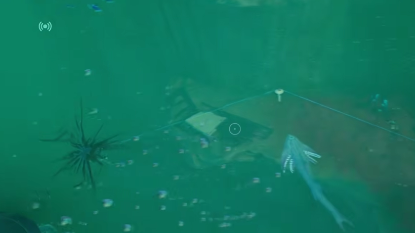 Subnautica 2: Where to find Conduit Crystal