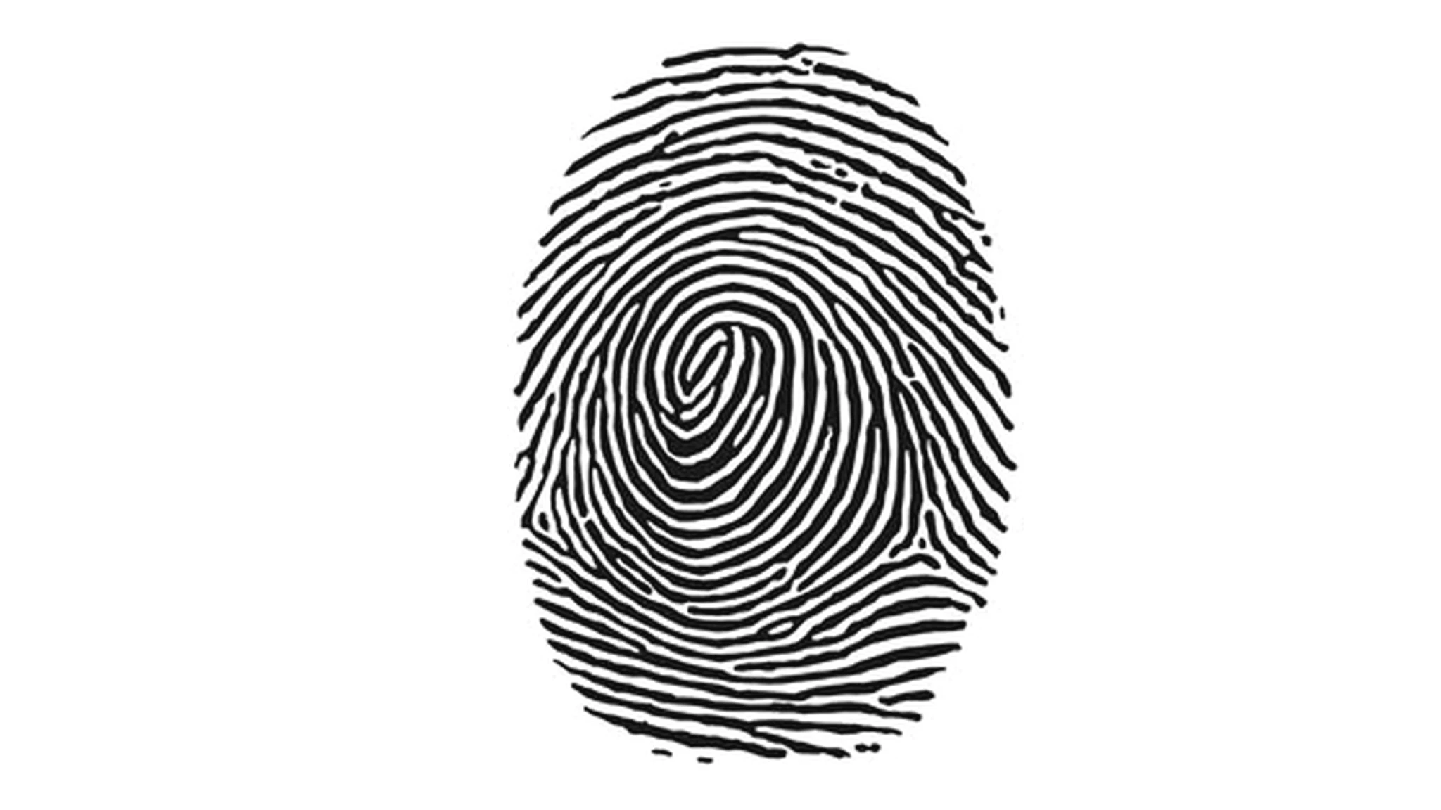 Fix the Windows 11 Fingerprint Reader and the “This Option Is Currently ...