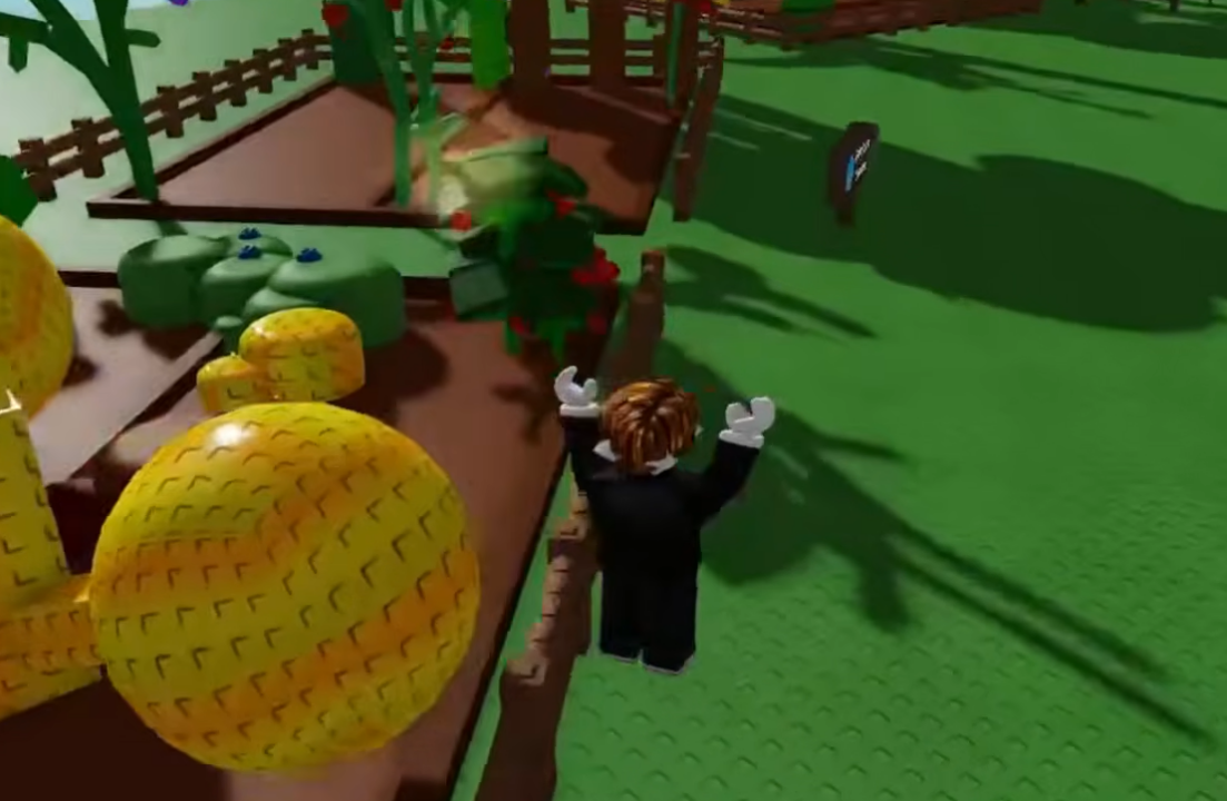 Raccoon in Grow A Garden 2: Super Pet Price, Spawn Chance, and Steal ...